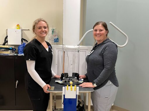 Radiology | McKenzie Health